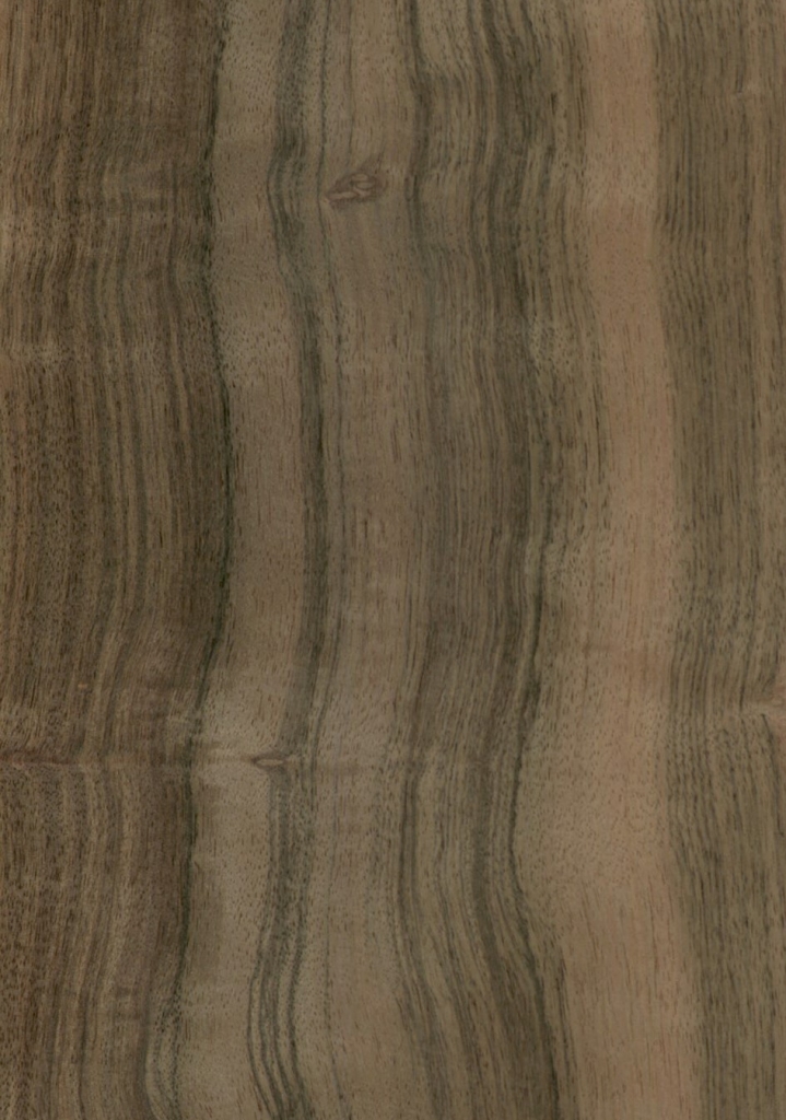 Laurel de la India – Vigano